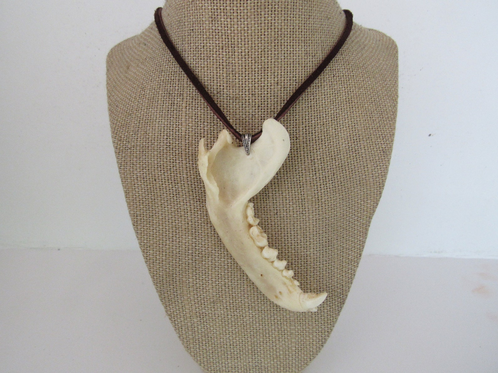Badger Jawbone Pendant Buckskin Leather Necklace Animal Jaw | Etsy