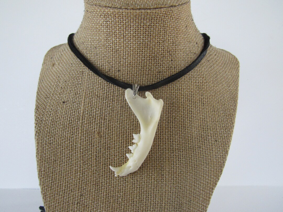 Bobcat Jawbone Pendant Buckskin Leather Necklace Animal Jaw Bone ...
