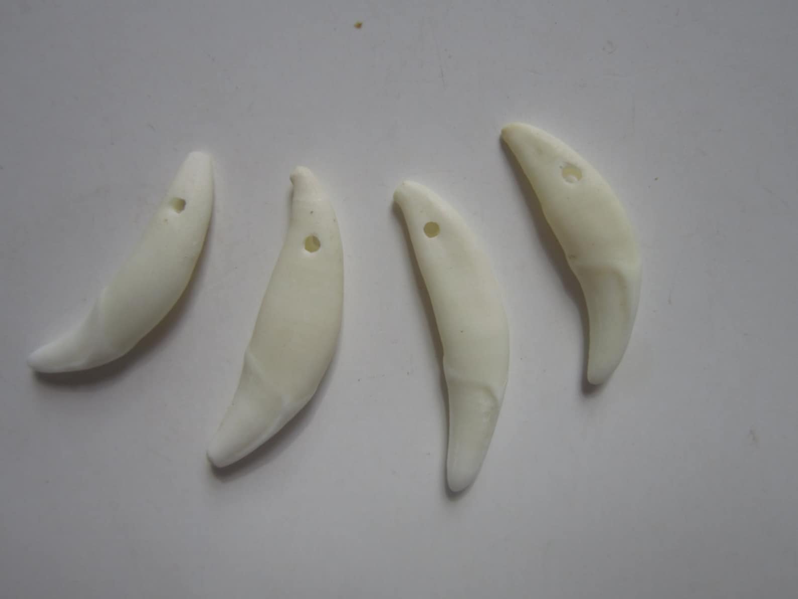 10 Coyote Teeth Fangs Canine Animal Teeth Pre-drilled Jewelry Beads ...