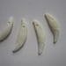 10 Coyote Teeth Fangs Canine Animal Teeth Pre-drilled Jewelry Beads ...