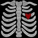 Bling Skeleton Iron On, Rhinestone Bones, Bedazzled Skeleton Iron On ...