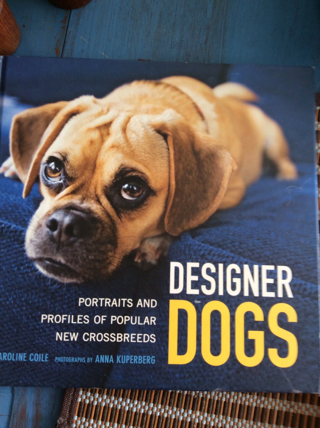 Vintage Book. Designer Dogs , Colorful Book, Coffee Table Book. - Etsy