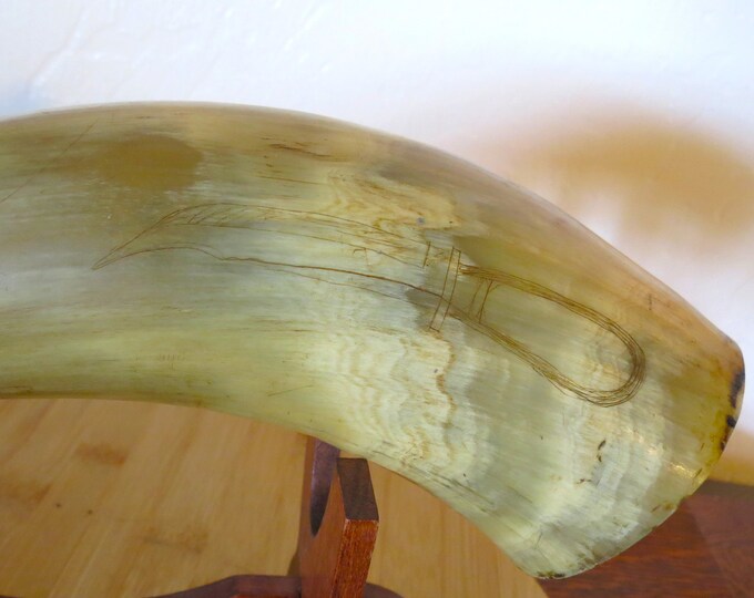 Late 1700's-early 1800's, Scrimshawed, Carved, Black Powder Horn - Etsy