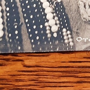 Otoe Indian Woman, Historical, Antique Photo, Circa 1907, Recognized ...