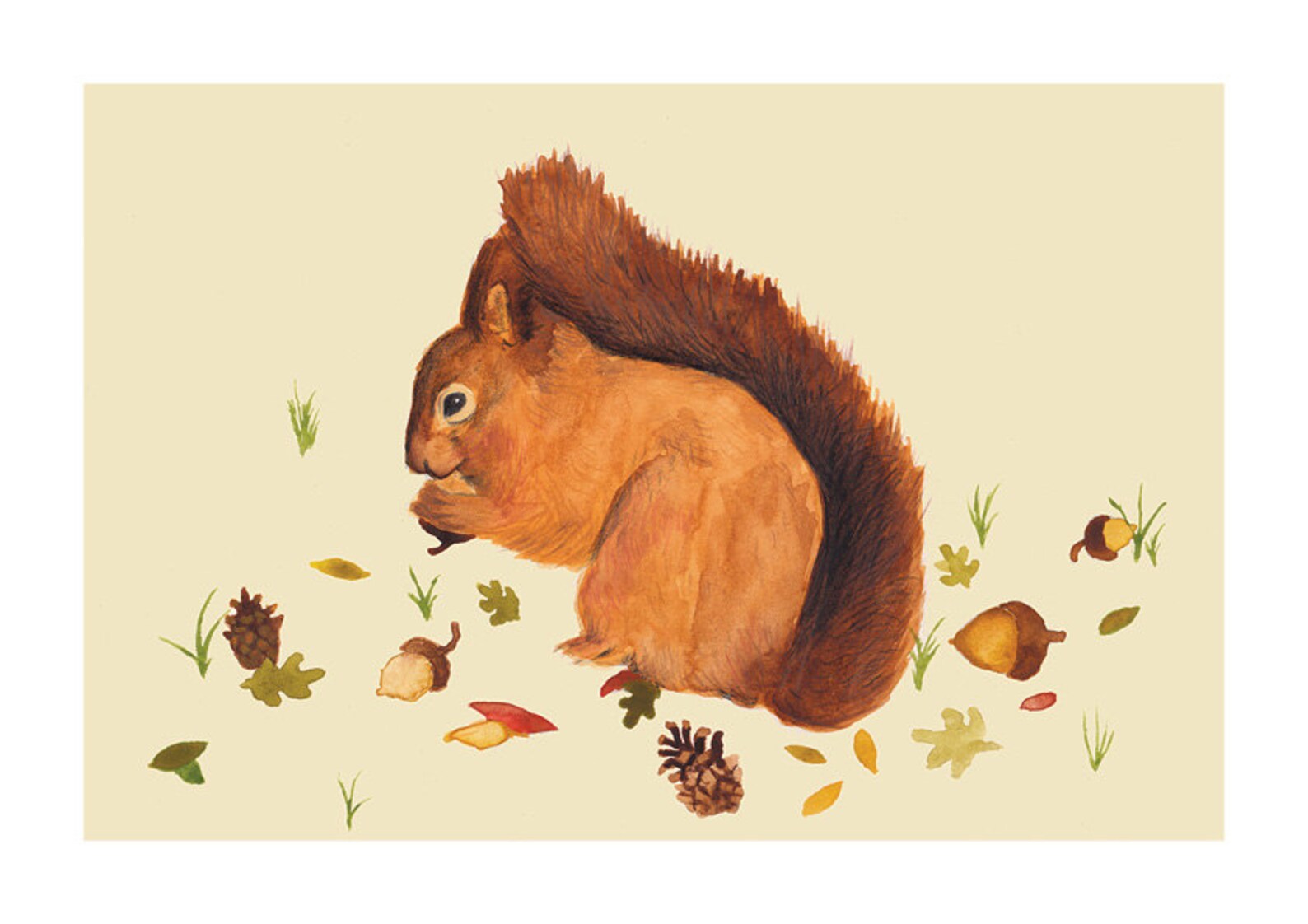 Squirrel Illustration Archival Print A4 297x210 Nursery, Children - Etsy