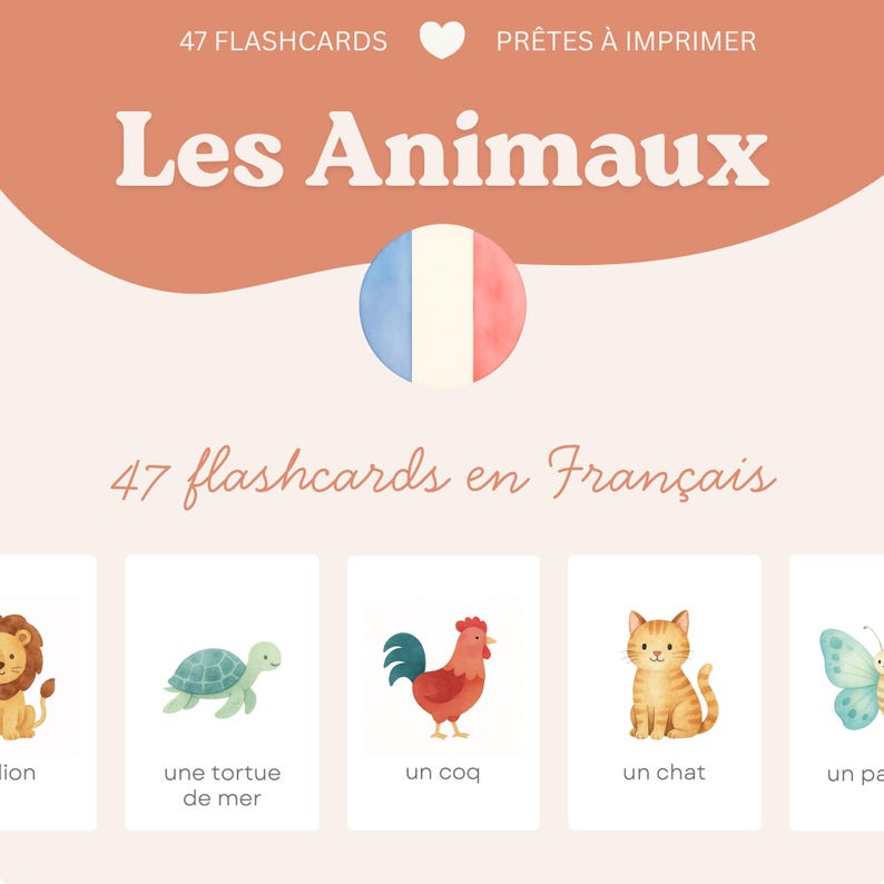 Printable Flashcards – Learn Animals in French – Educational Cards for ...