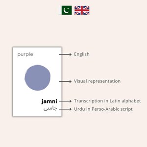 Printable Flashcards – Urdu Colors With Phonetics – Easy Learning - Etsy