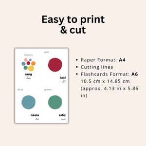 Printable Flashcards – Urdu Colors With Phonetics – Easy Learning - Etsy