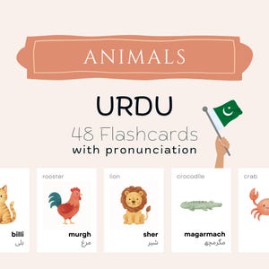 Printable Flashcards – Urdu Animals With Phonetics – Easy Learning - Etsy