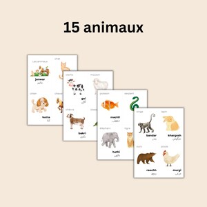 Printable Flashcards – Urdu Animals With Phonetics – Easy Learning - Etsy
