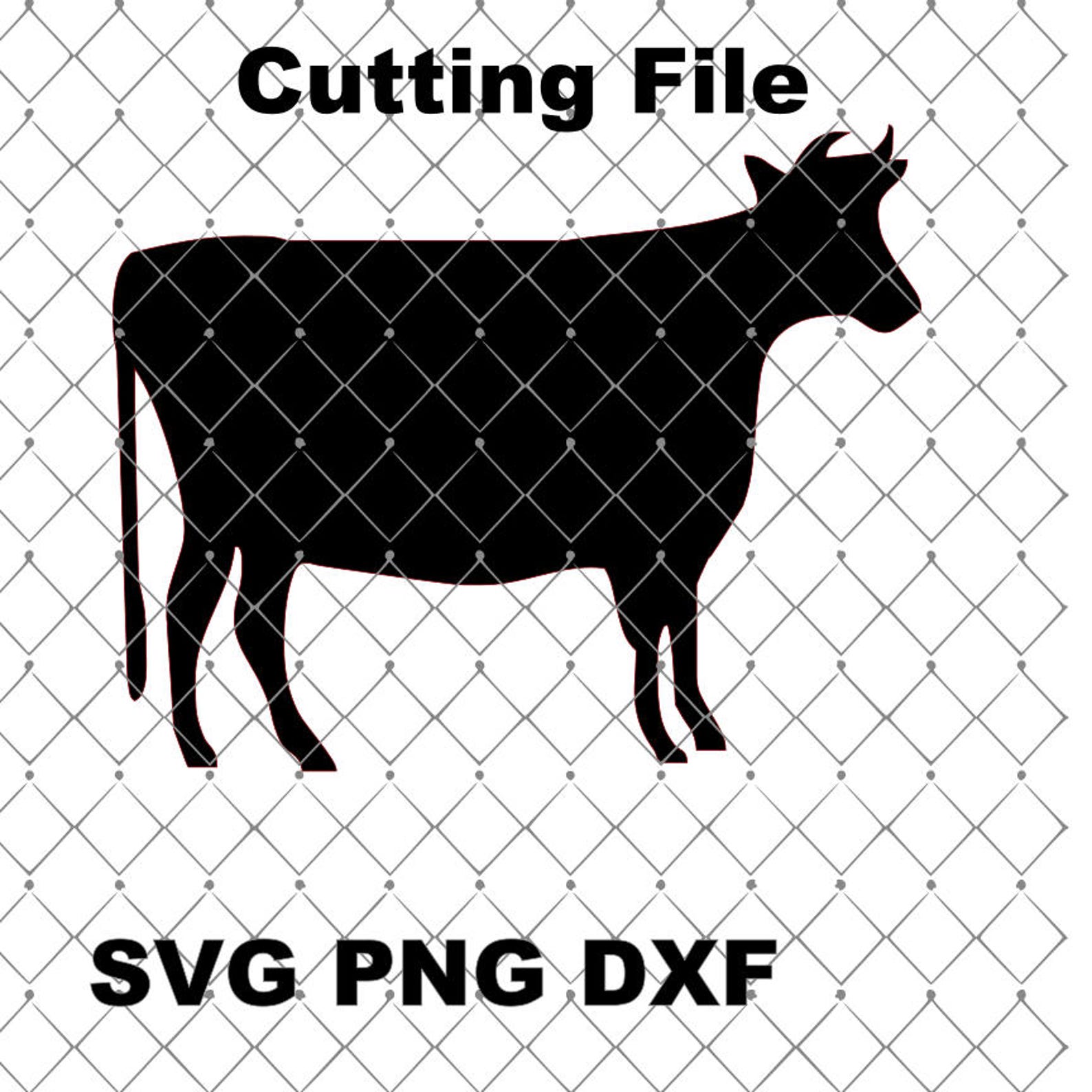 Show Cow Steer SVG Png Dxf Farm Animal Cow Png Cow Dxf Cricuit File ...