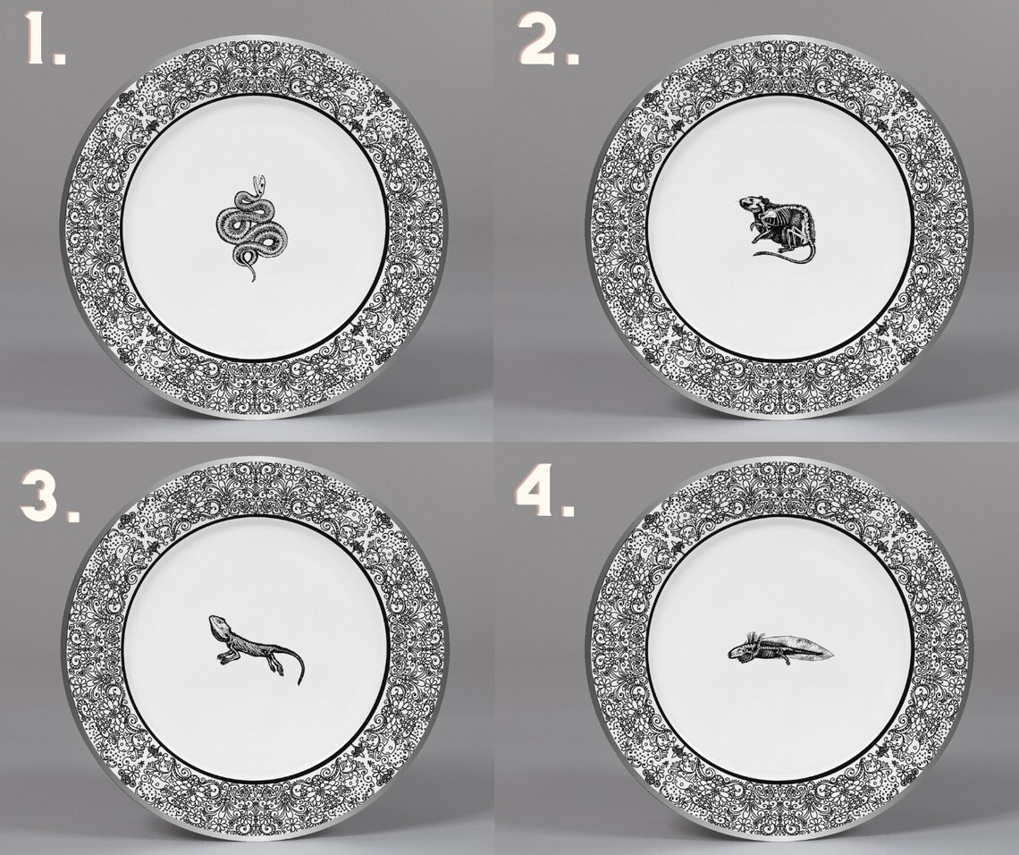 Animal Anatomy Skeleton Gothic Plate Set | Elegant Gothic Halloween ...