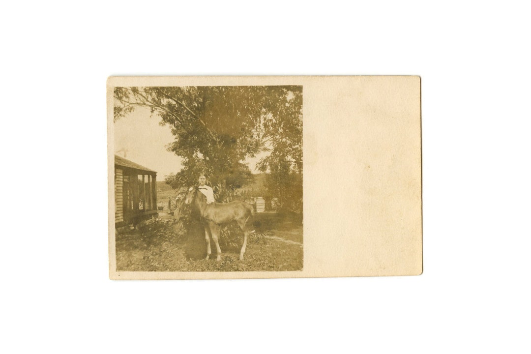 RPPC Woman and Horse 1904-1920 Girl With Foal Sepia Real Photo Postcard ...