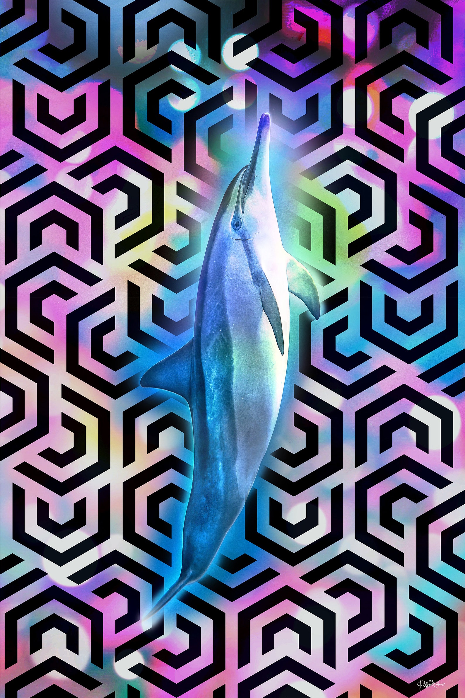 Magical Dolphin Black Digital Art Print Download - Etsy