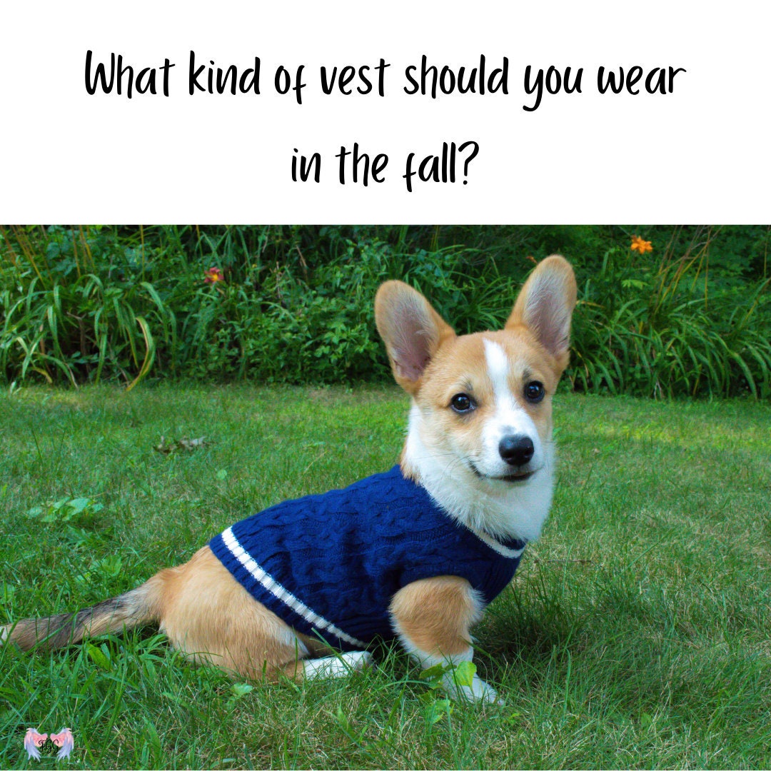 September 2022 Social Media Interactive Post Images - Etsy