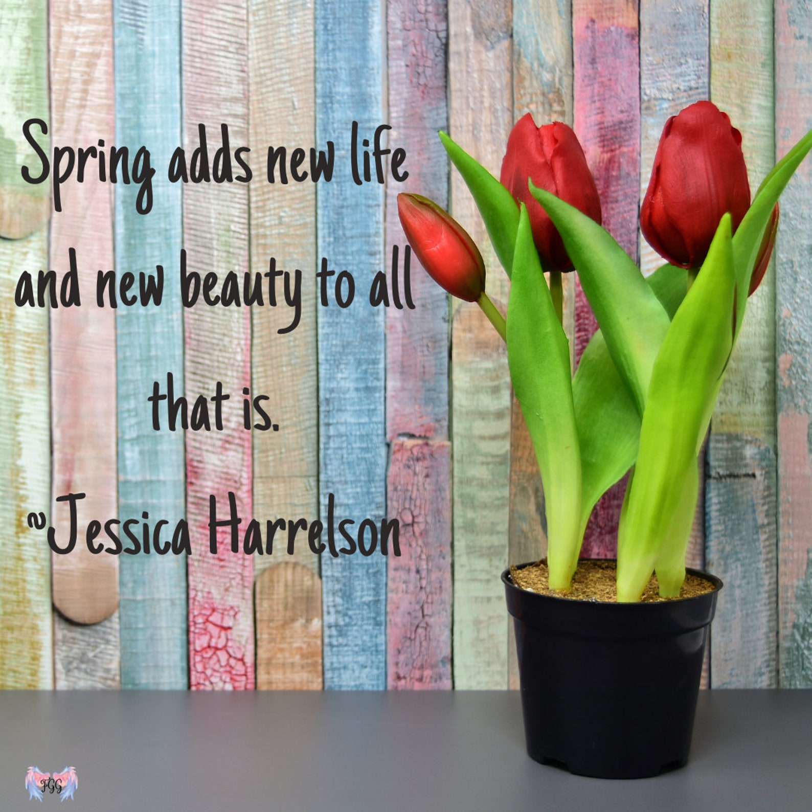 March Social Media Interaction Graphics Pack - Etsy