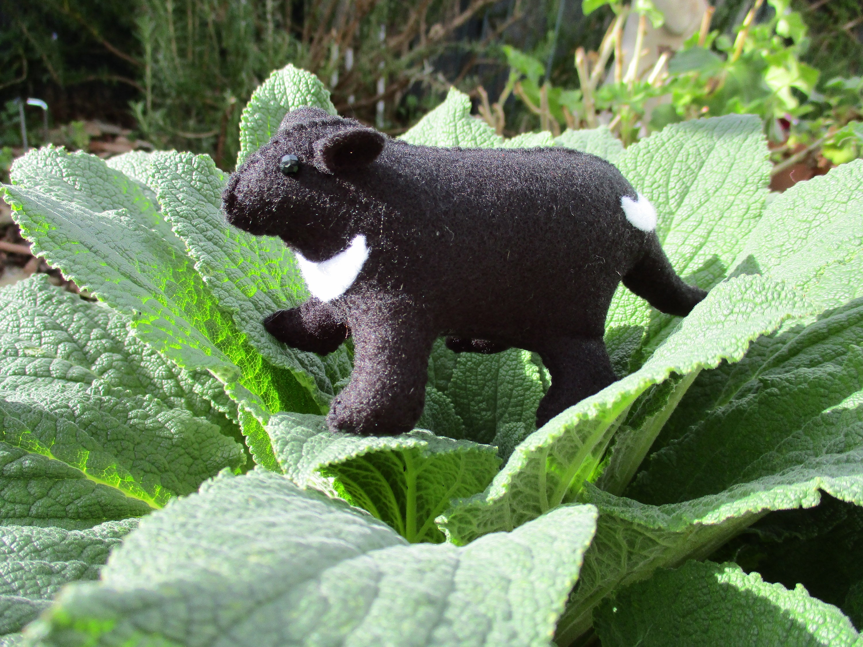 Tasmanian Devil Craft Kit | Etsy