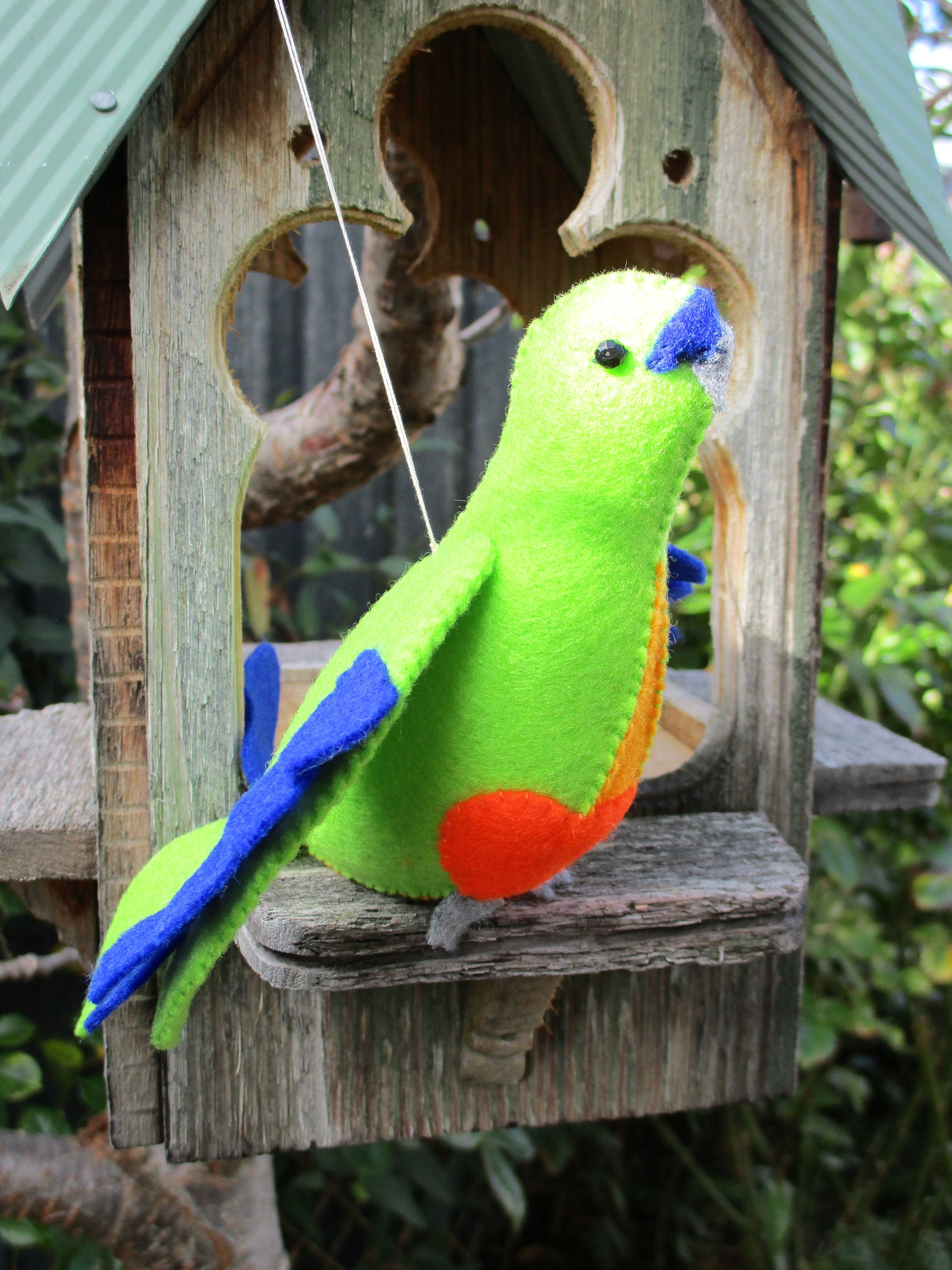 Orange Bellied Parrot craft kit | Etsy