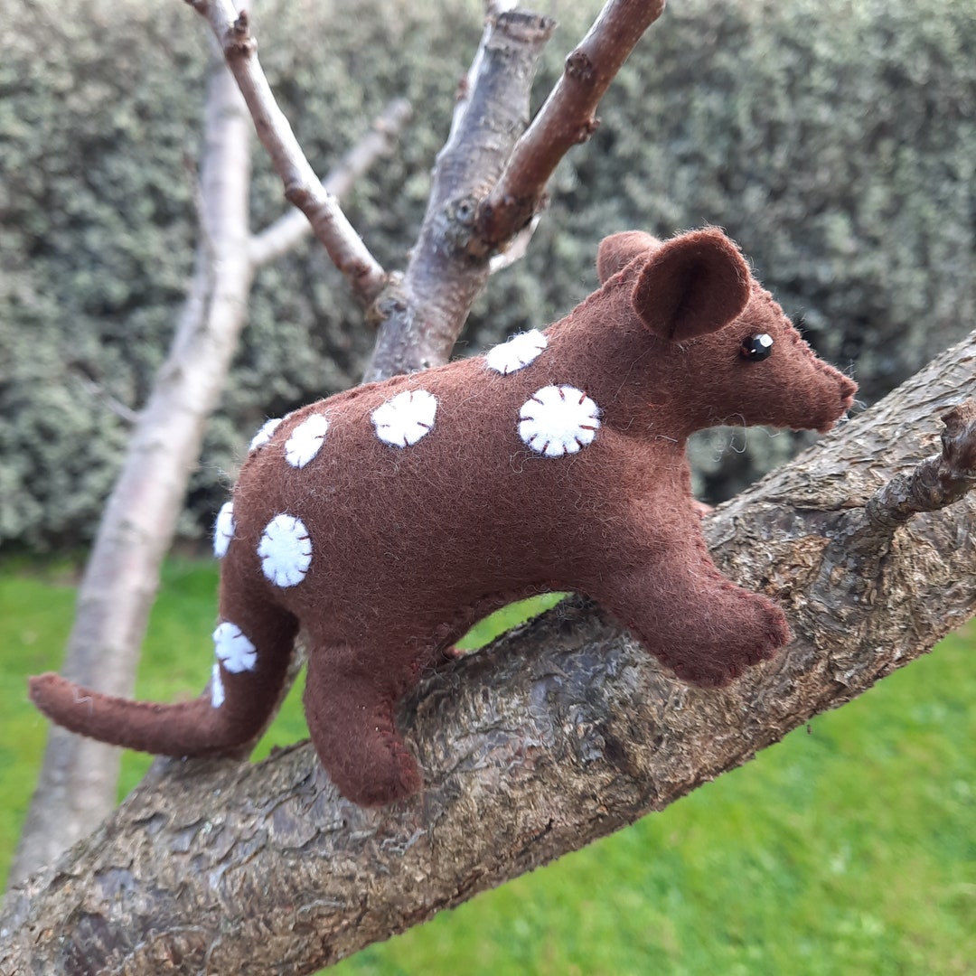 Quoll Craft Kit - Etsy Australia