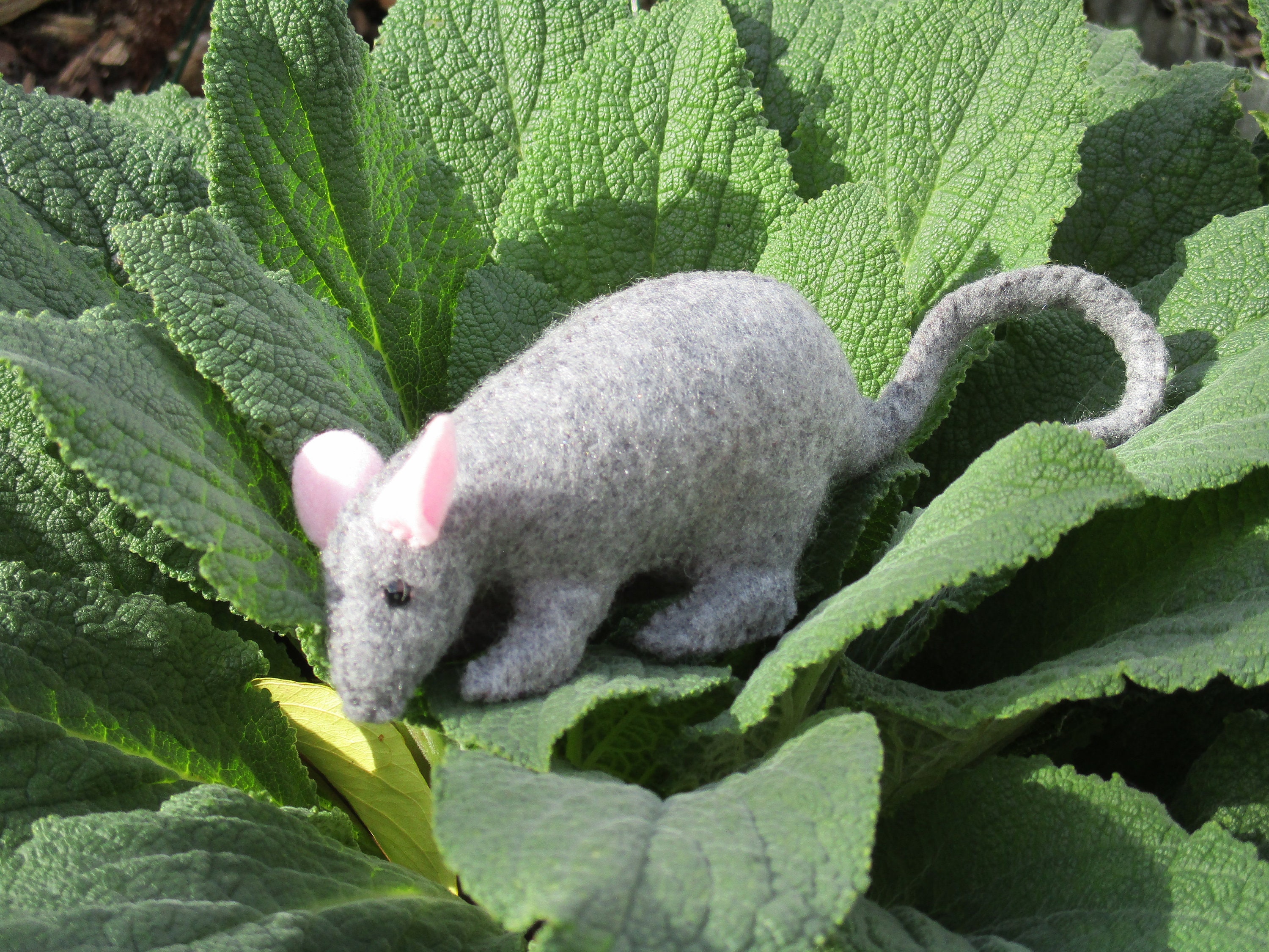 Ring Tailed Possum- Craft Kit - Etsy Australia