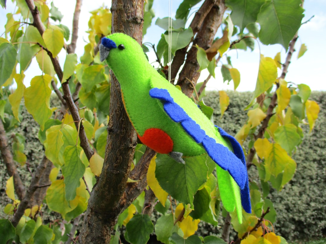 Orange Bellied Parrot- Craft Kit - Etsy Australia
