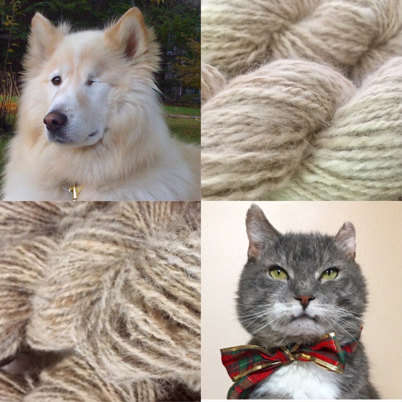 Custom Yarn From Your Pet's Hair - Etsy