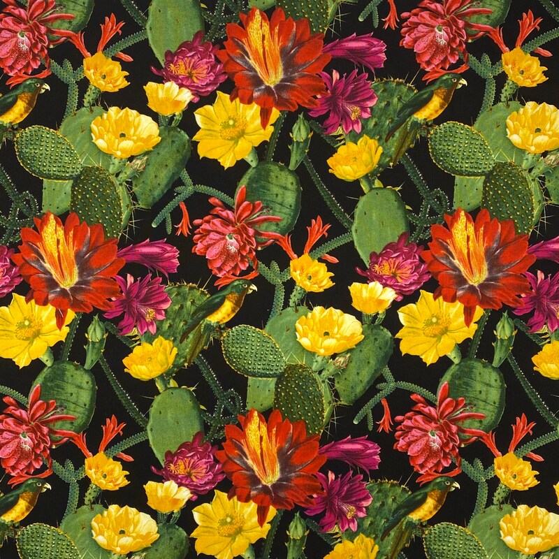 Novelty Cactus Fabric - Etsy