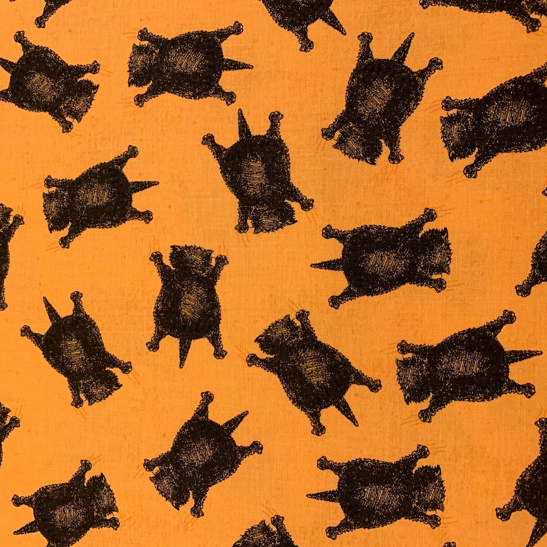 Scaredy Cats Toss in Orange | Goose Tales by J, Wecker Frisch | Riley ...