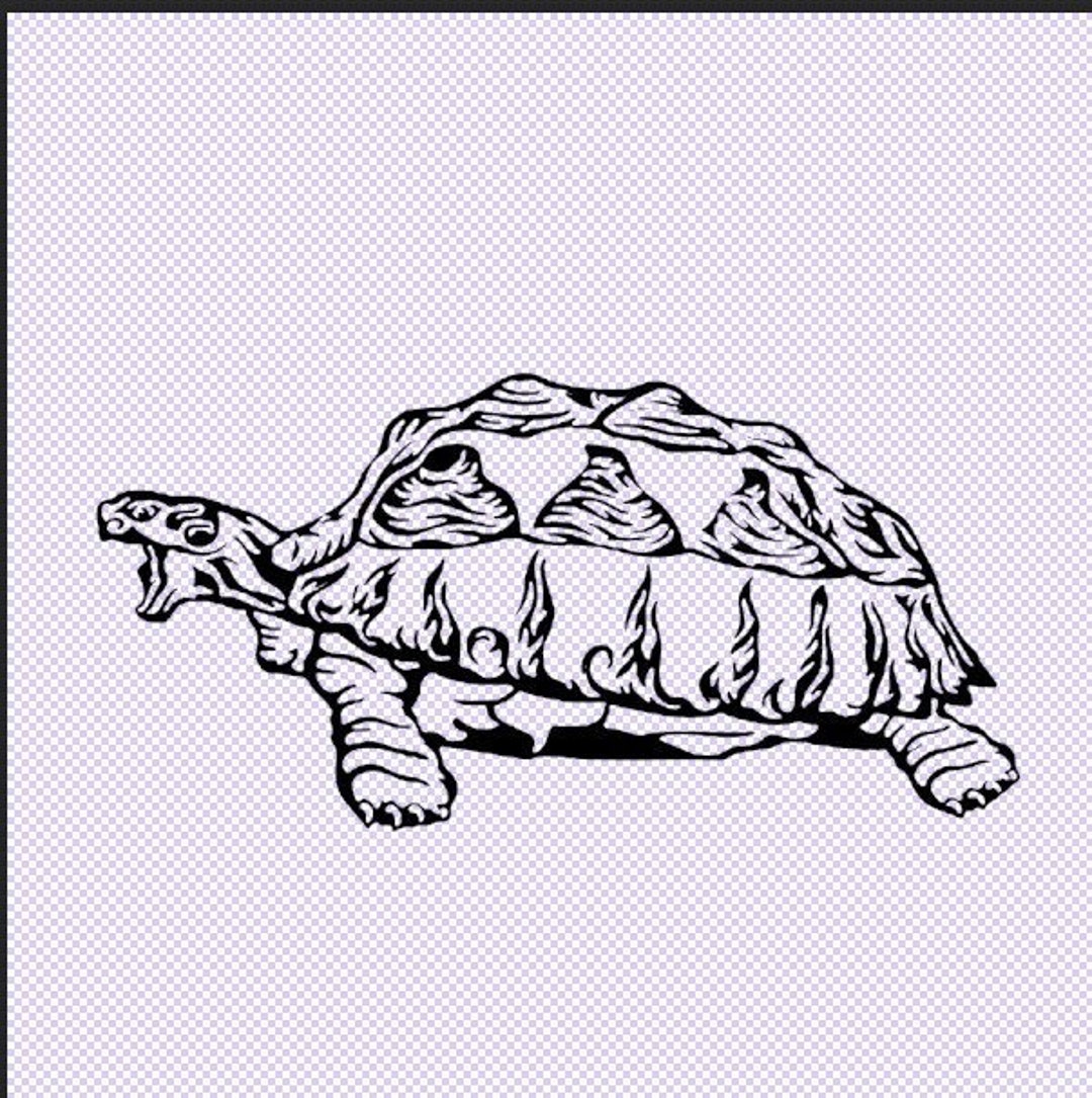 Turtle Svg Cut File, Download, Turtle Svg, Cricut Svg Download ...