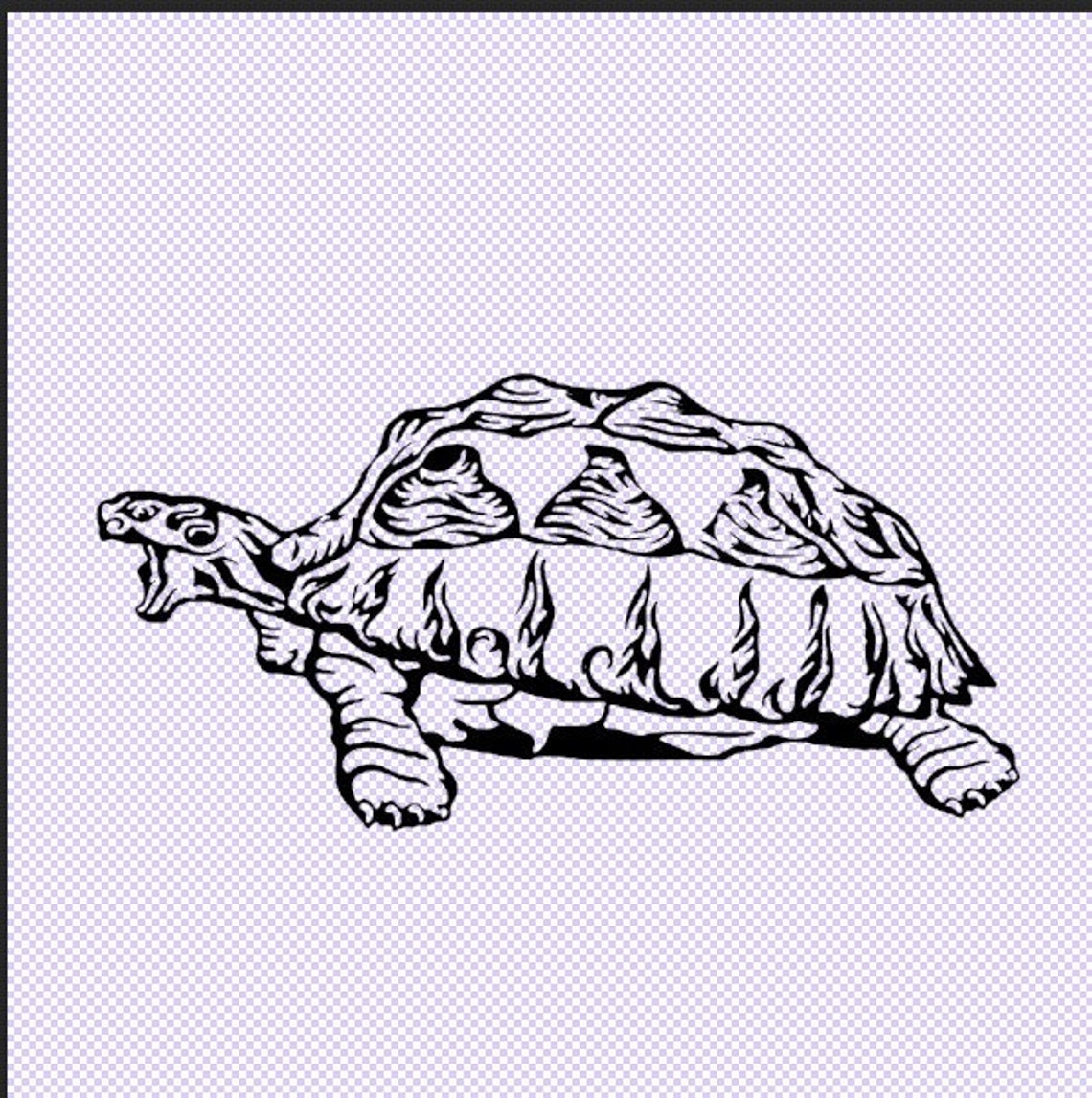 Turtle Svg Cut File Download Turtle Svg Cricut Svg Download - Etsy