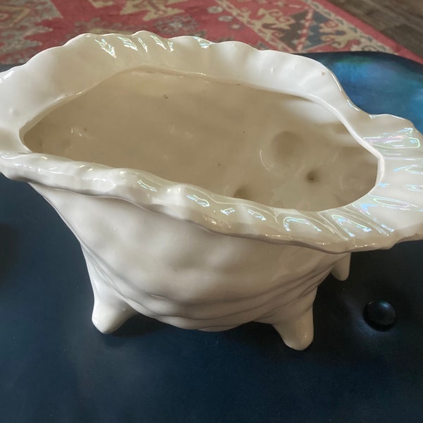 Conch Shell Planter - Etsy