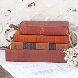 Vintage Book Stack, Books for Decor, Rustic Book Bundle, Burgundy Books ...