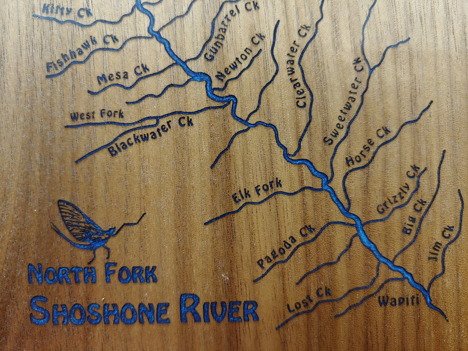 BLUE RESIN FLY Box. Personalized Fishing Gift With Choice of - Etsy