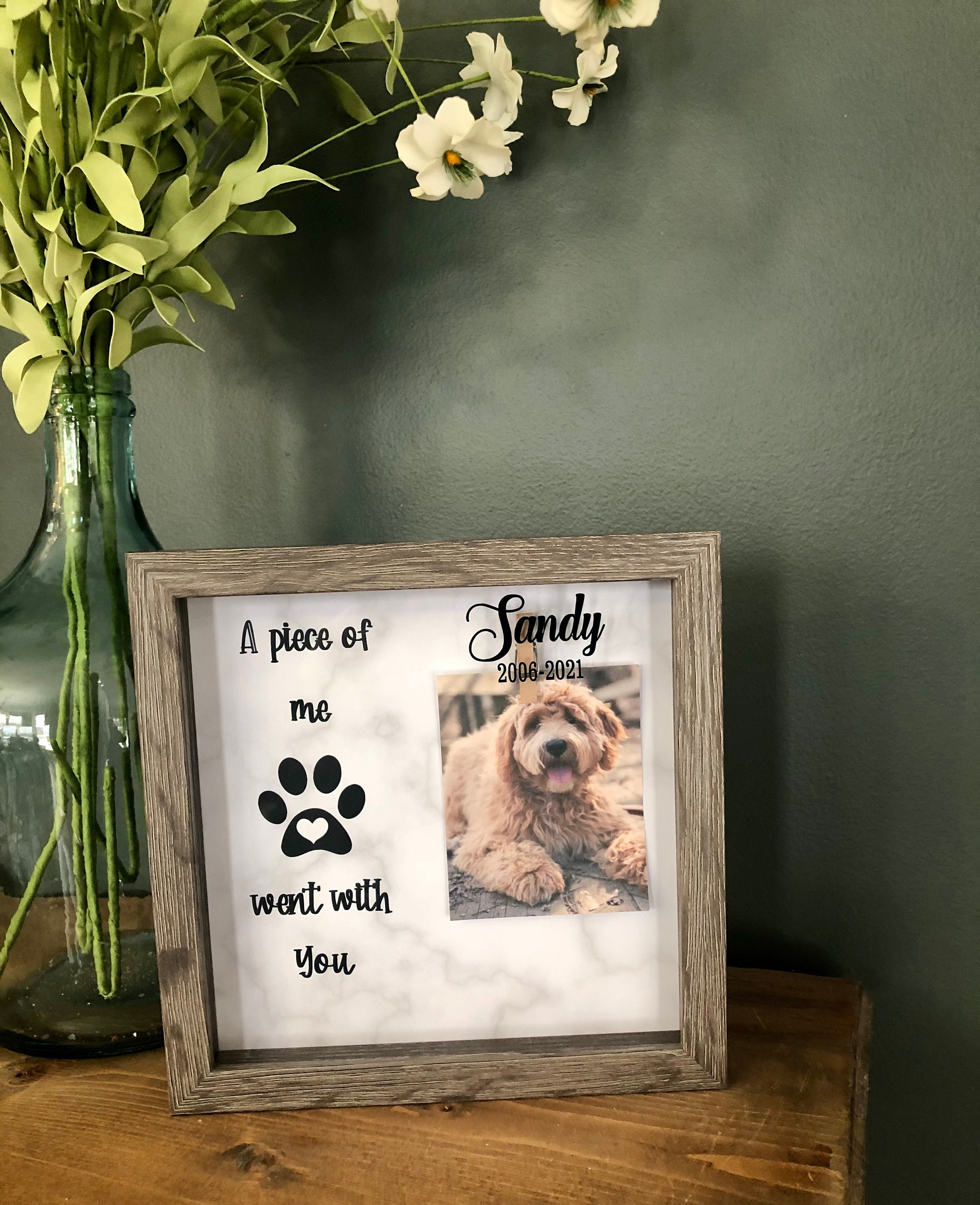 Personalized PHOTO Pet Memorial Box Pet Collar shadow box A | Etsy