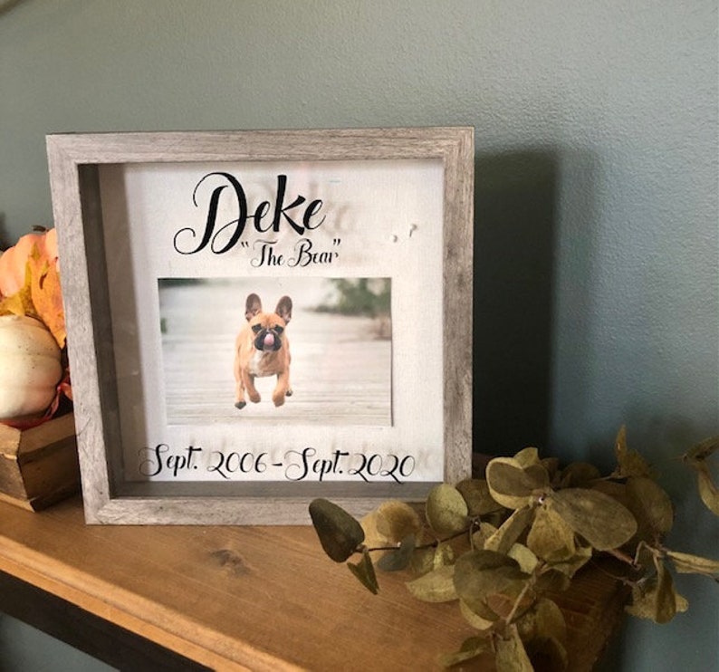Custom Pet Memorial Shadow Box With Name Photo Collar Paw | Etsy