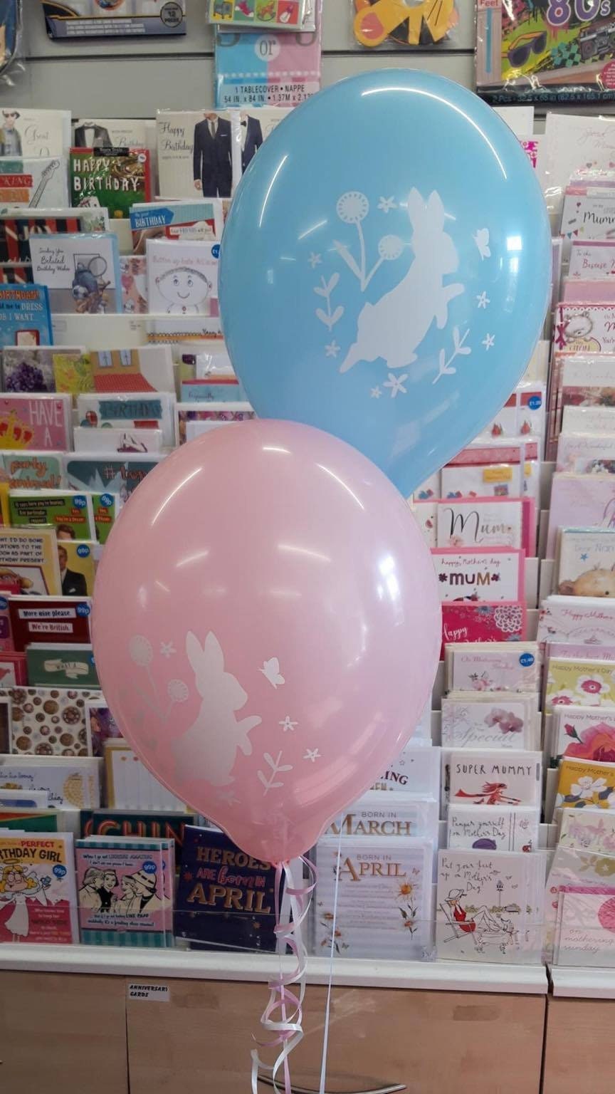 Peter Rabbit Balloons Baby Shower Birthday Balloons Baby - Etsy UK