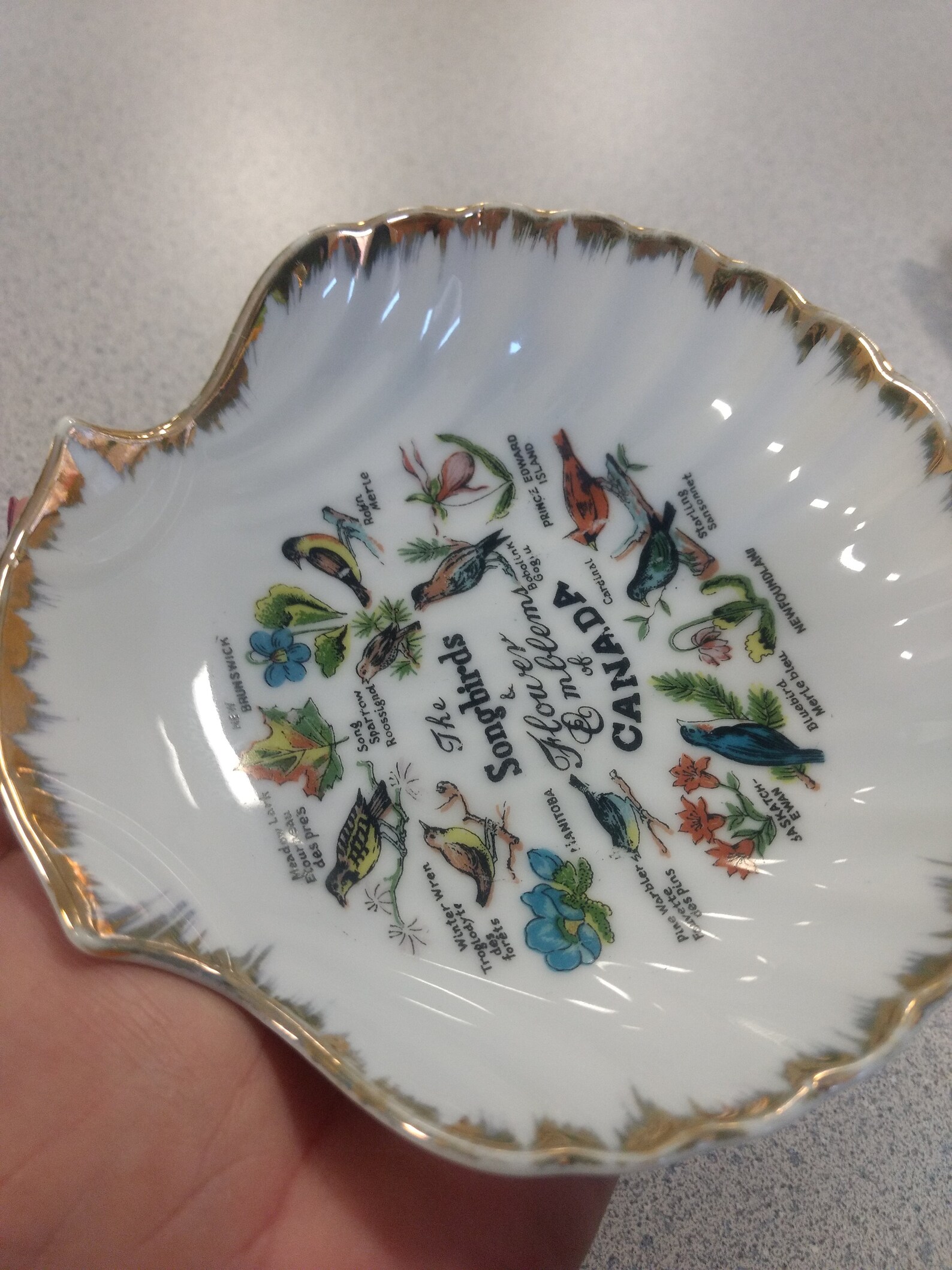 Songbird & Flower Emblems of Canada Dish - Etsy