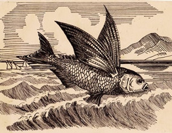 Items similar to The Amazing Flying Fish on Etsy