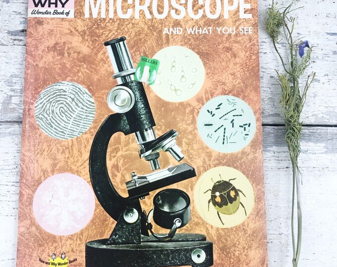 Vintage Childrens How and Why Microscope Book - Etsy