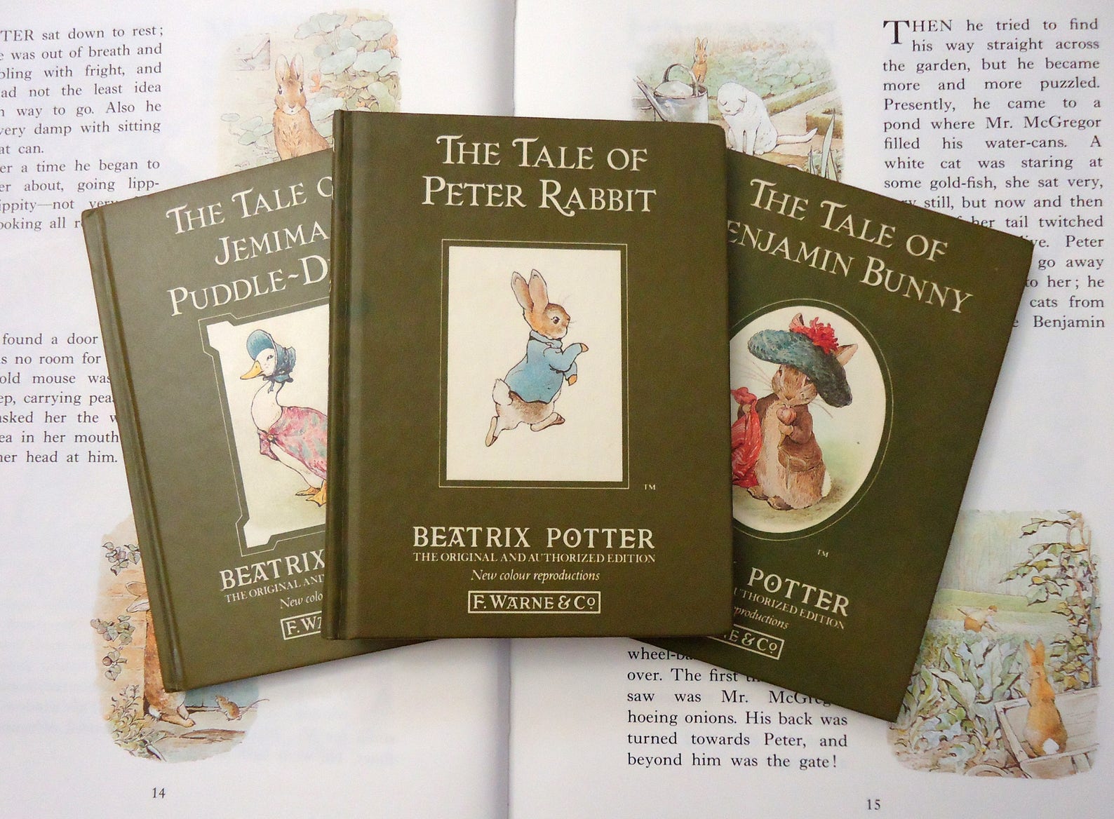 Book Wallet the Tale of Peter Rabbit Purse Beatrix Potter | Etsy