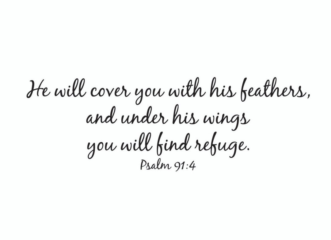 Psalm 91:4 He Will Cover You With His Feathers and Under His Wings You ...