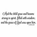 Luke 2:40 and the Child Grew and Became Strong in Spirit Christian ...