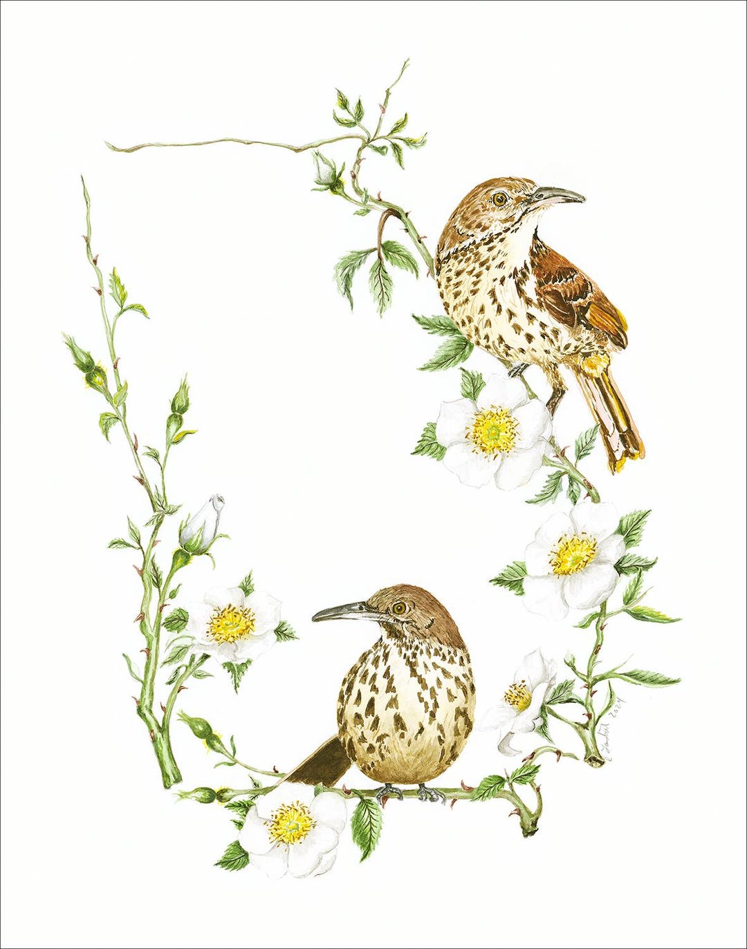 Georgia State, Bird, and Flower Watercolor Painting Print - Etsy