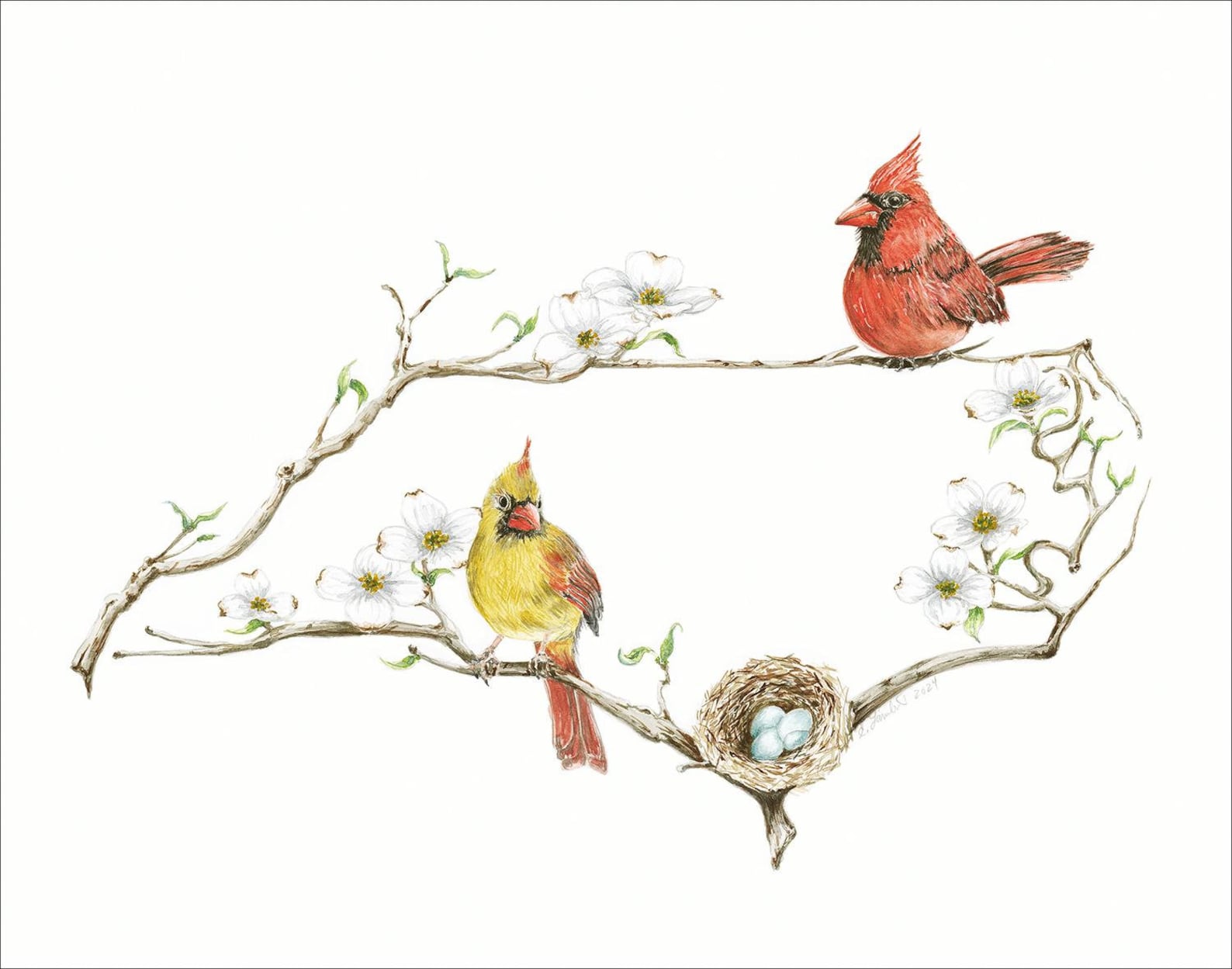 North Carolina State Bird and Flower Watercolor Painting Print - Etsy
