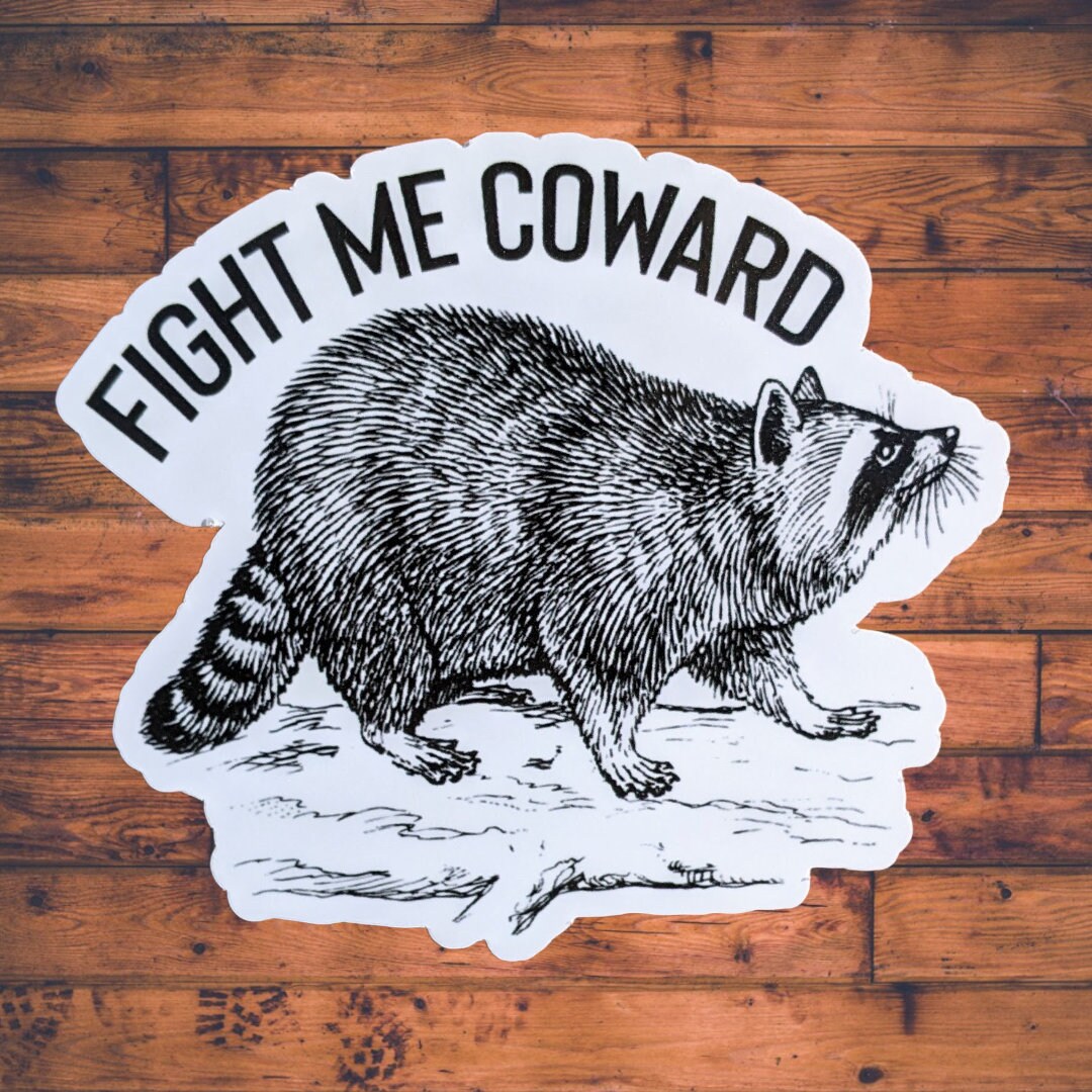 Fight Me Coward Raccoon Sticker, Raccoon Sticker Decal - Etsy