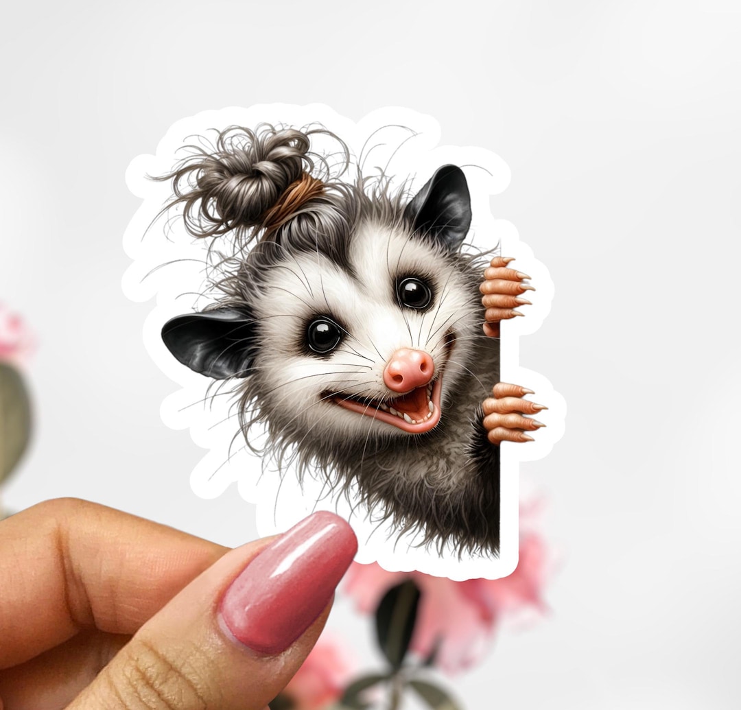 Cute Possum Sticker, Possum Decal - Etsy