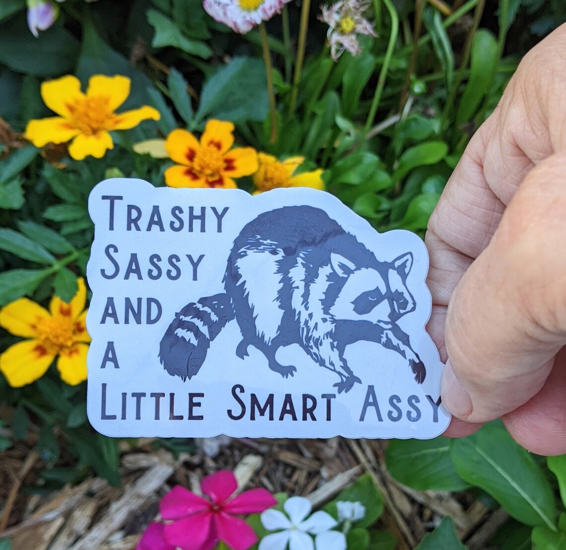 Trash Sassy Panda Raccoon Sticker Raccoon Decal - Etsy