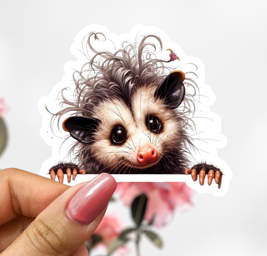 Cute Possum Sticker, Possum Decal - Etsy
