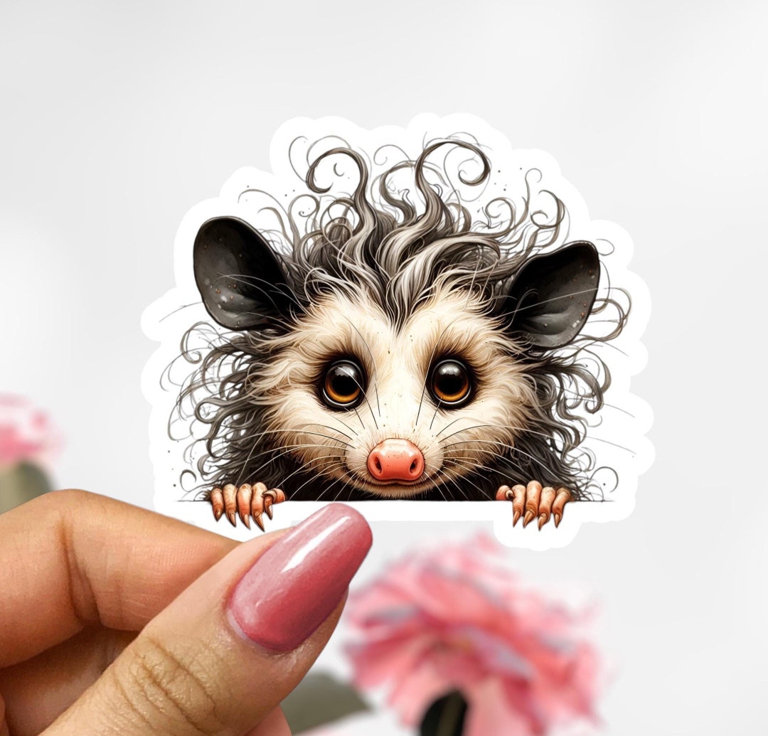 Cute Possum Sticker, Possum Decal - Etsy