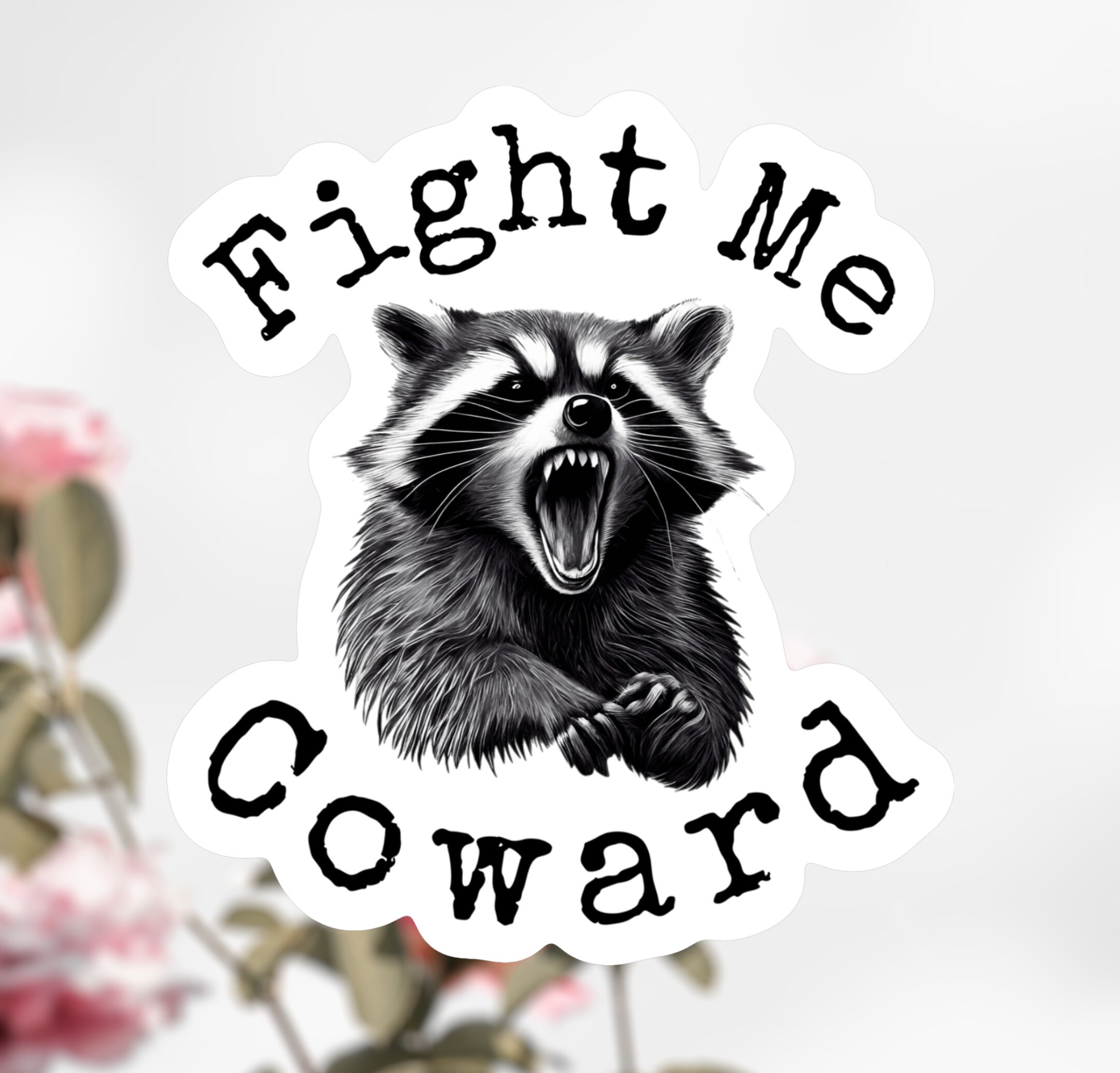 Angry Raccoon Cartoon